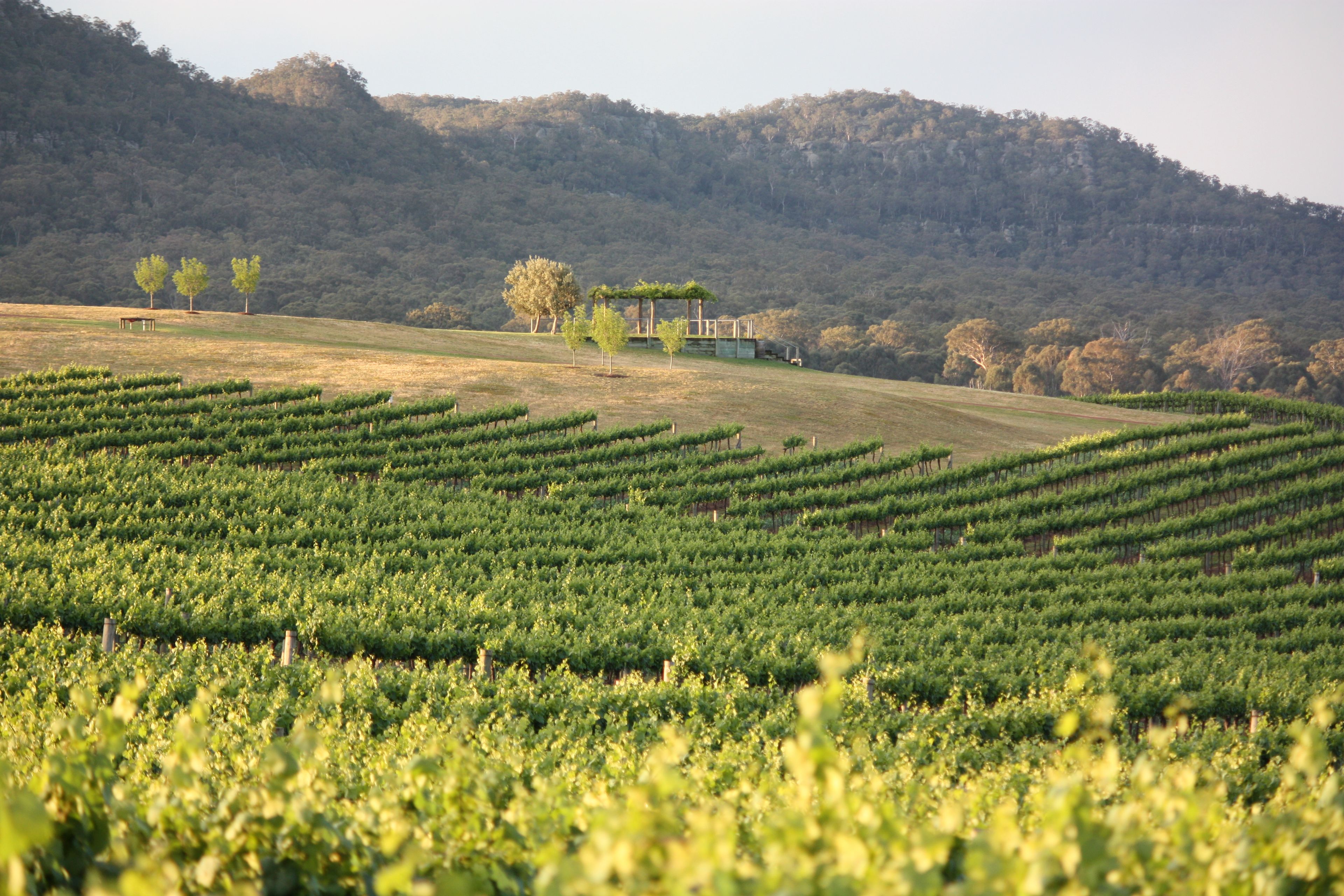 "Two Rivers" - 2 Yarrawa Road, Denman, NSW 2328 - Sold Rural Mixed ...