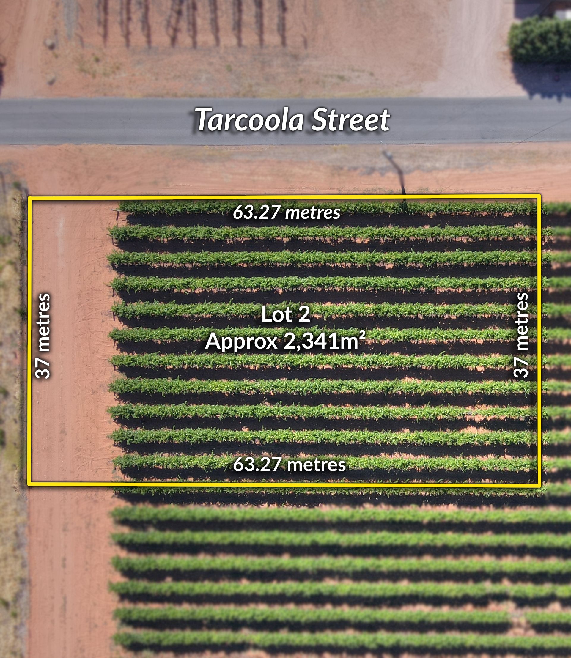 Lot 2 Tarcoola Street, Renmark, SA 5341 - Land for Sale - Ray White ...