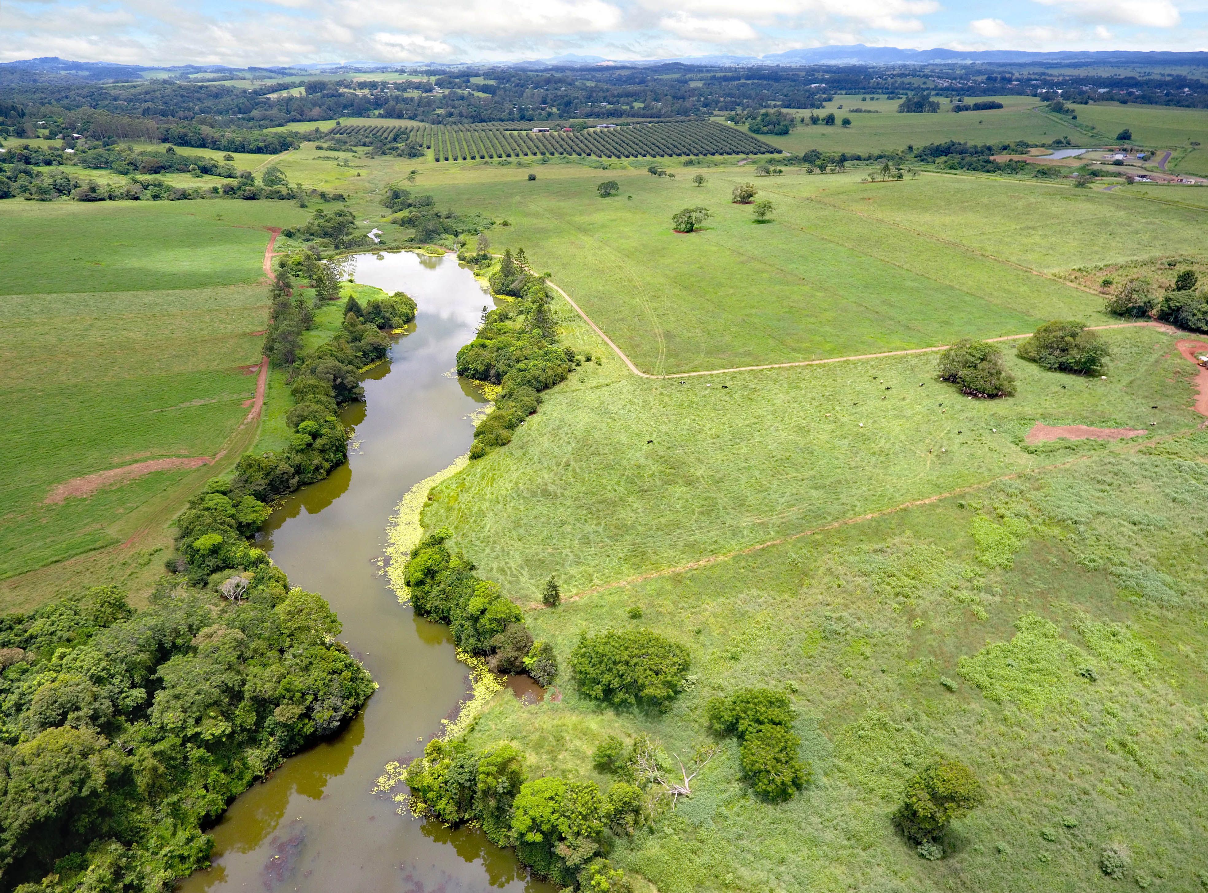 Peeramon, QLD 4885 - Sold Rural Property - Ray White Rural Atherton
