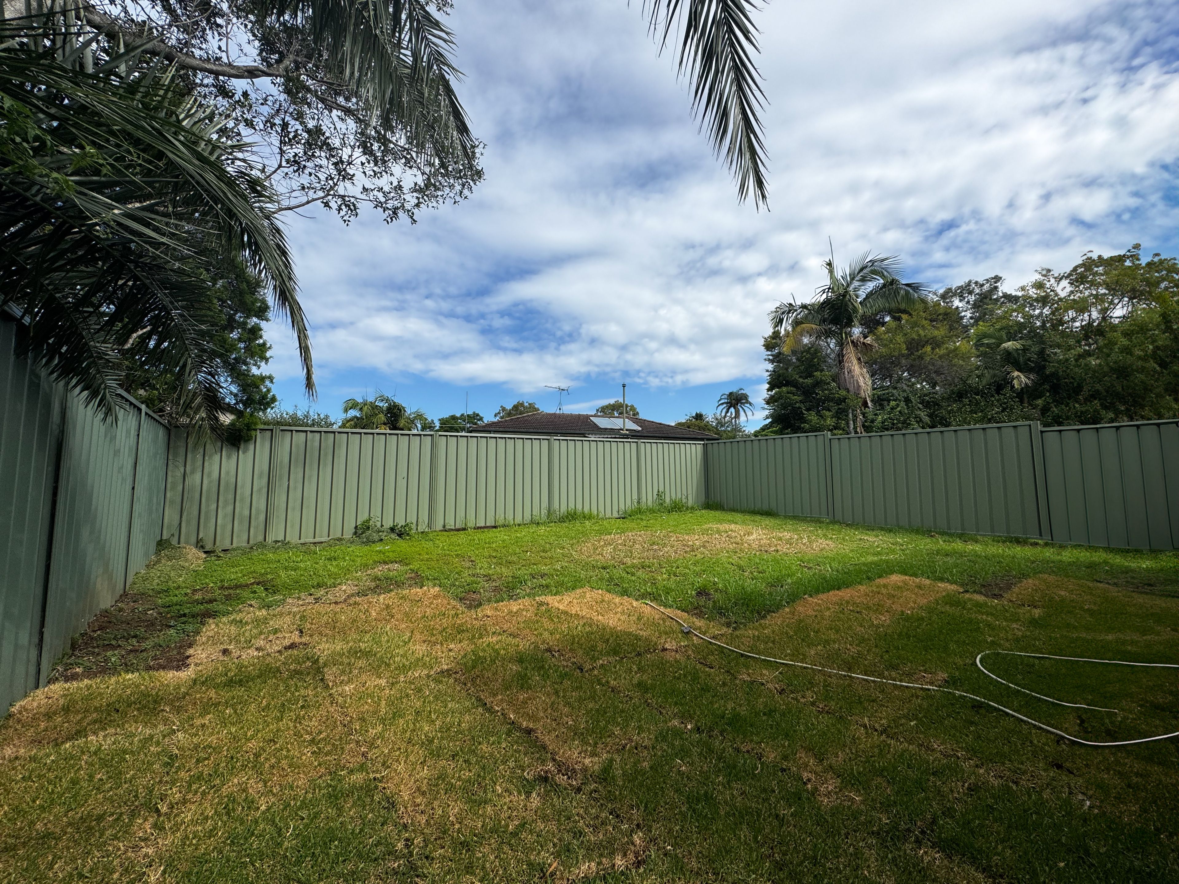 8a Cuthel Place, Campbelltown, NSW 2560 - Leased House - Ray White ...
