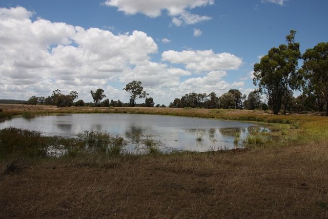 Jambin, QLD - Rural Rural Mixed Farming Property Sold