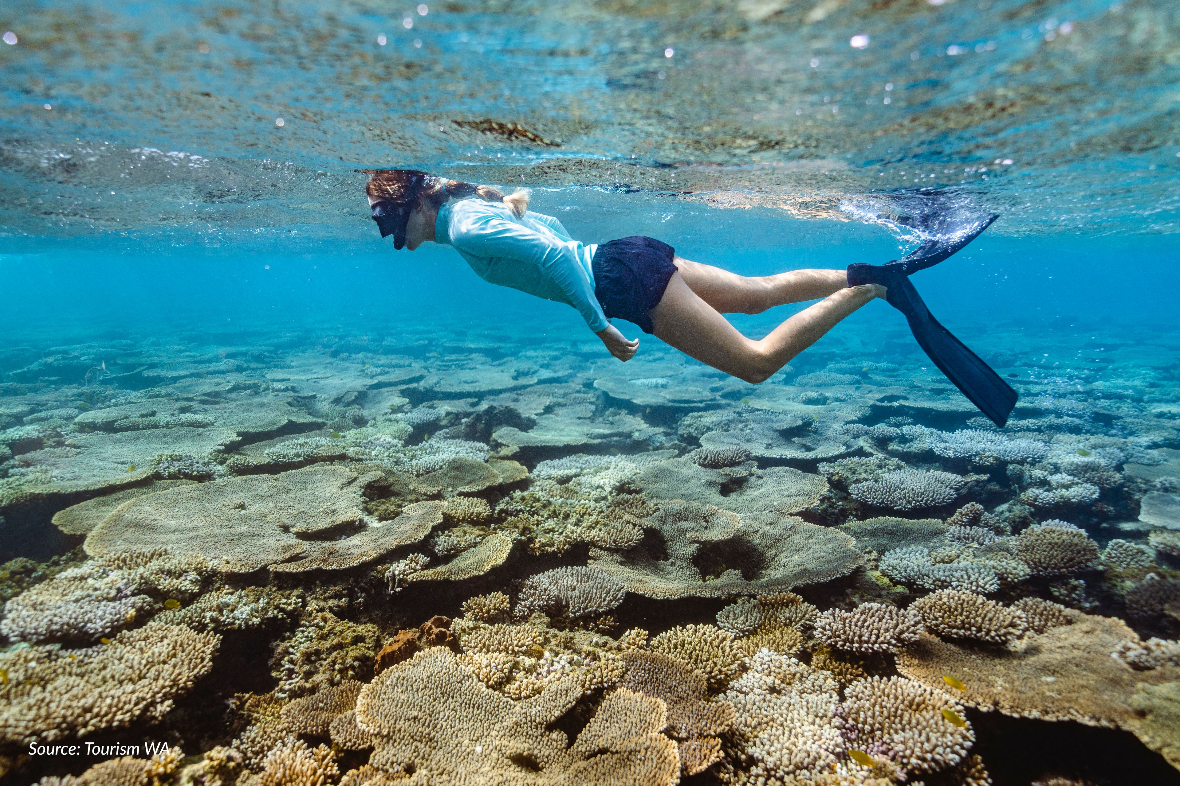 156 Truscott Crescent, Exmouth, WA 6707 - Land/Development for Sale ...