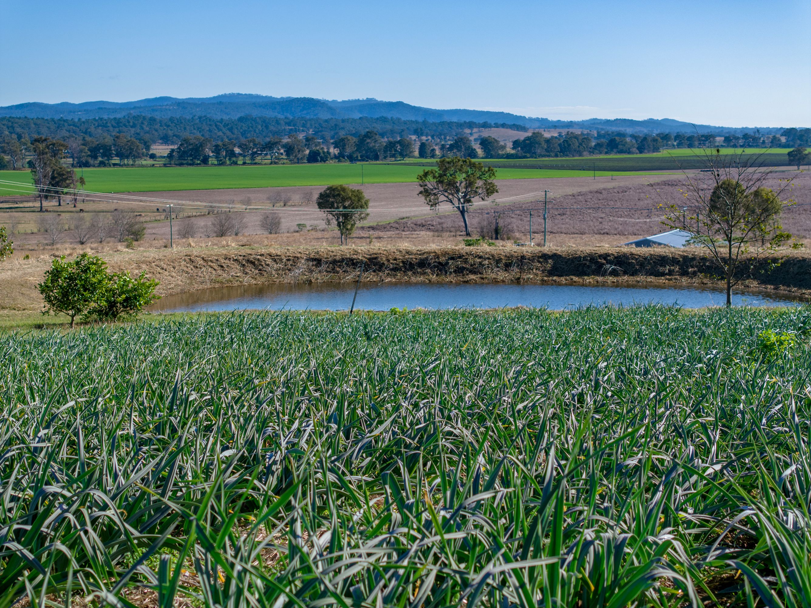 "Oaky Creek Farm" - 208 Oaky Creek Road, Oaky Creek, QLD 4285 - Sold ...
