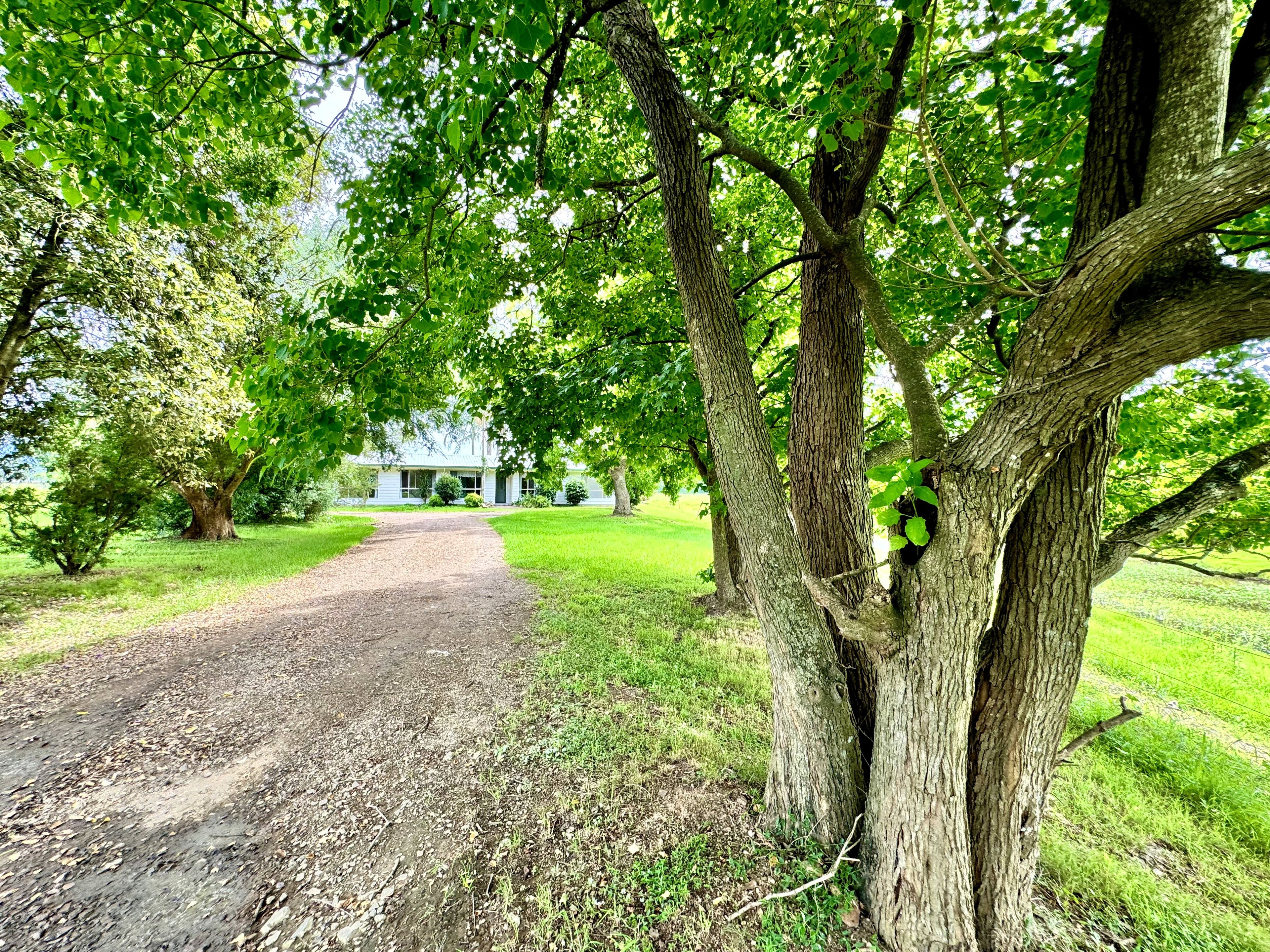 876 Upper Lansdowne Road, Upper Lansdowne, NSW 2430 - Leased House ...