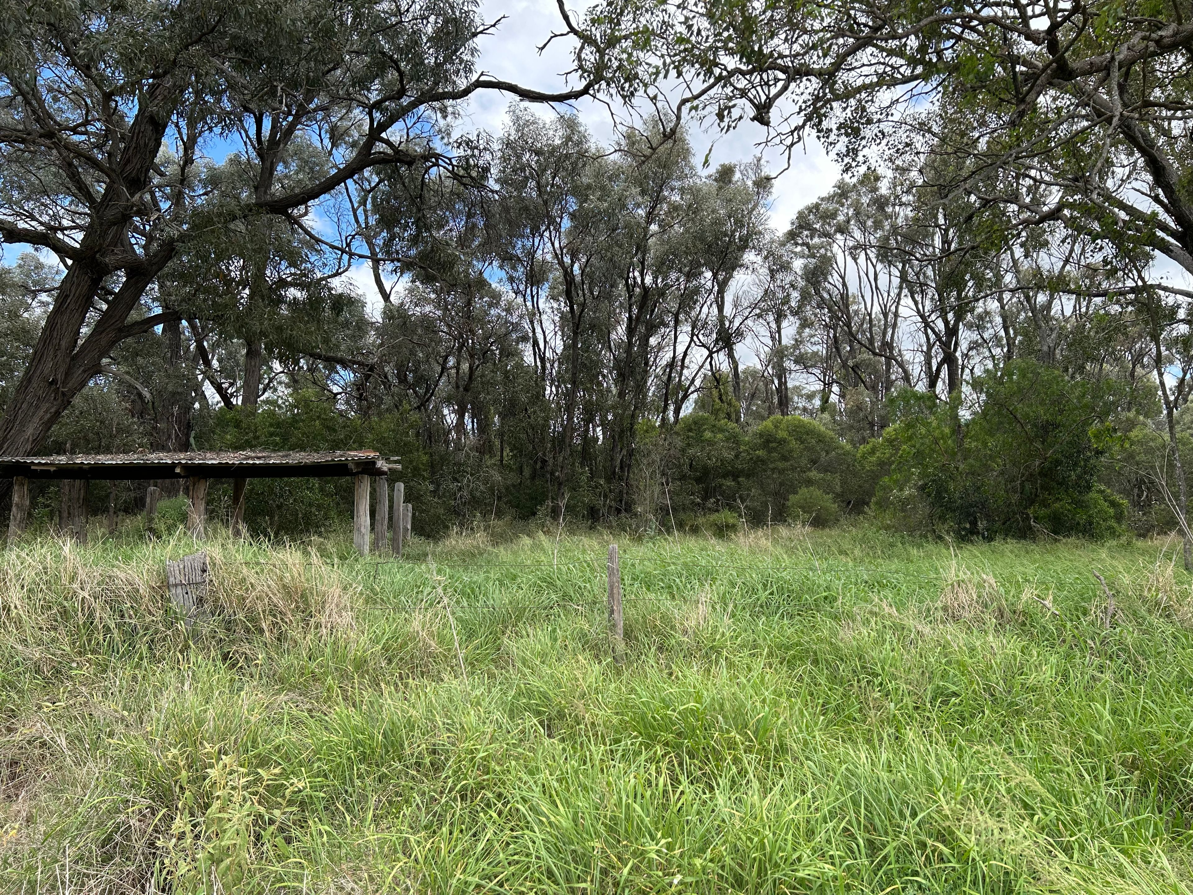 Lot 279 Brigalow Park School Road, MOUNT DARRY, QLD 4352 - Sold Land ...