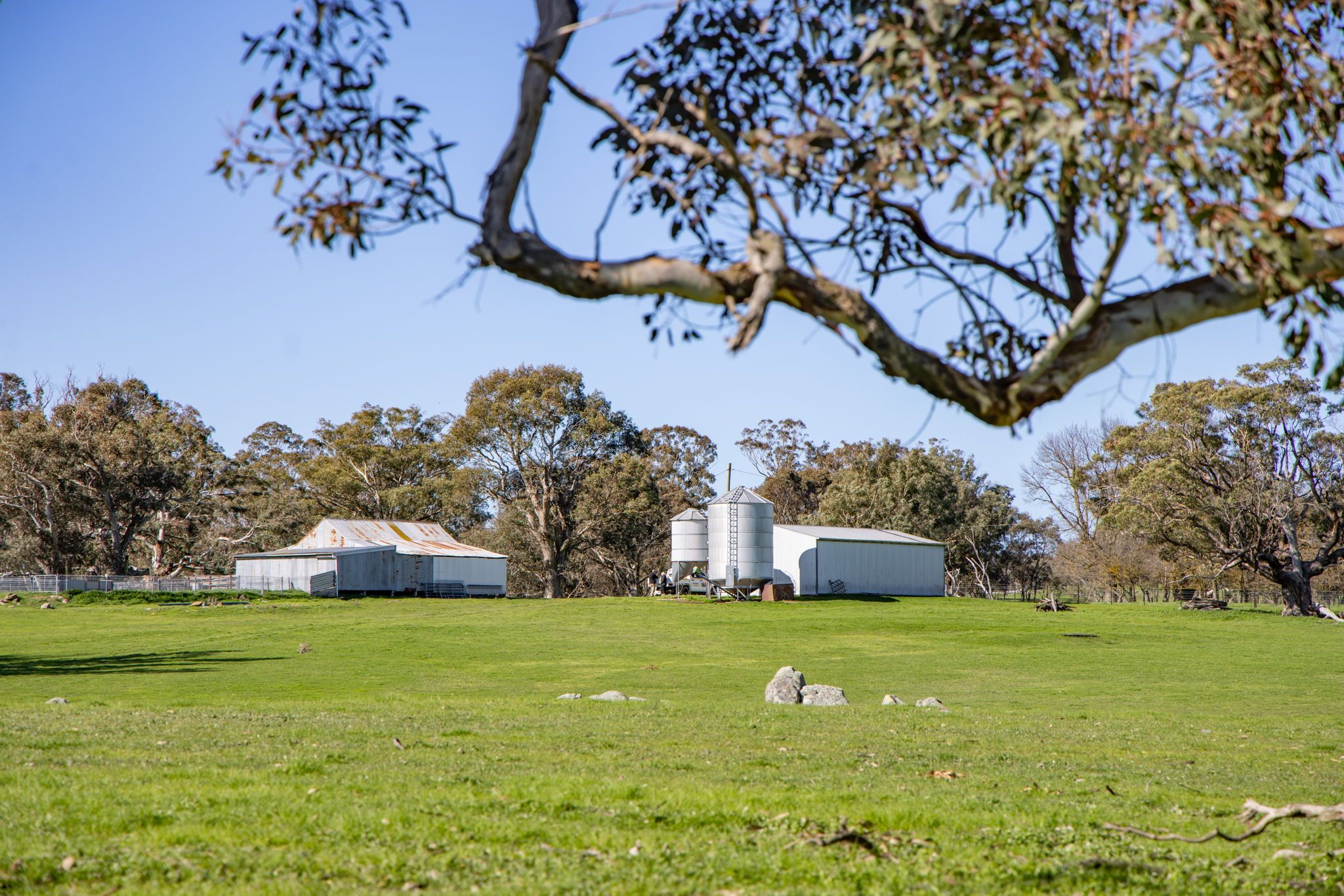 Ray White Rural & Livestock • "Cottage Farm" 1001 Cooks Hill Road, Yass ...