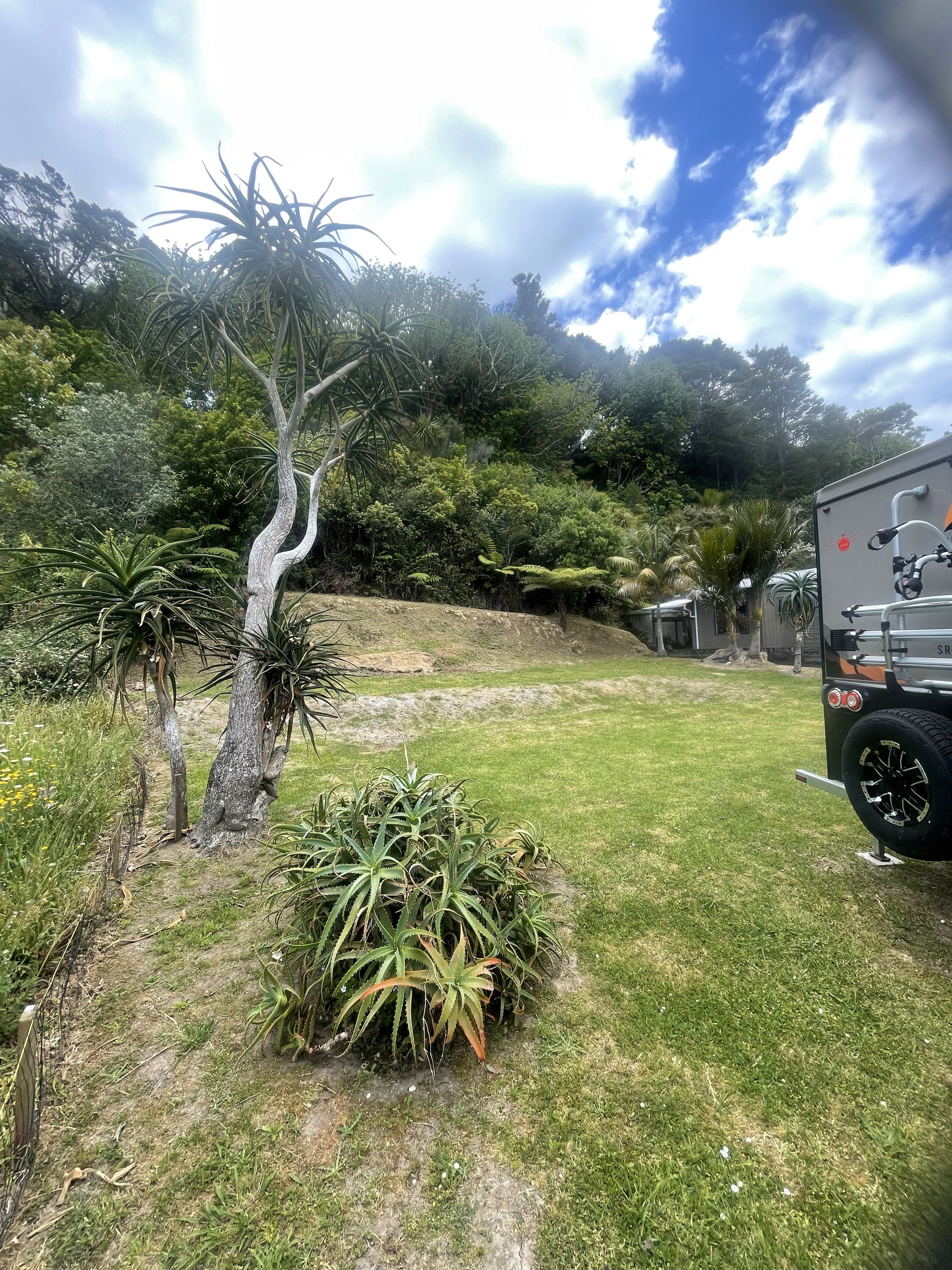 37A Manawa Drive, Ngunguru, Whangarei District 0154 - Sold Section ...