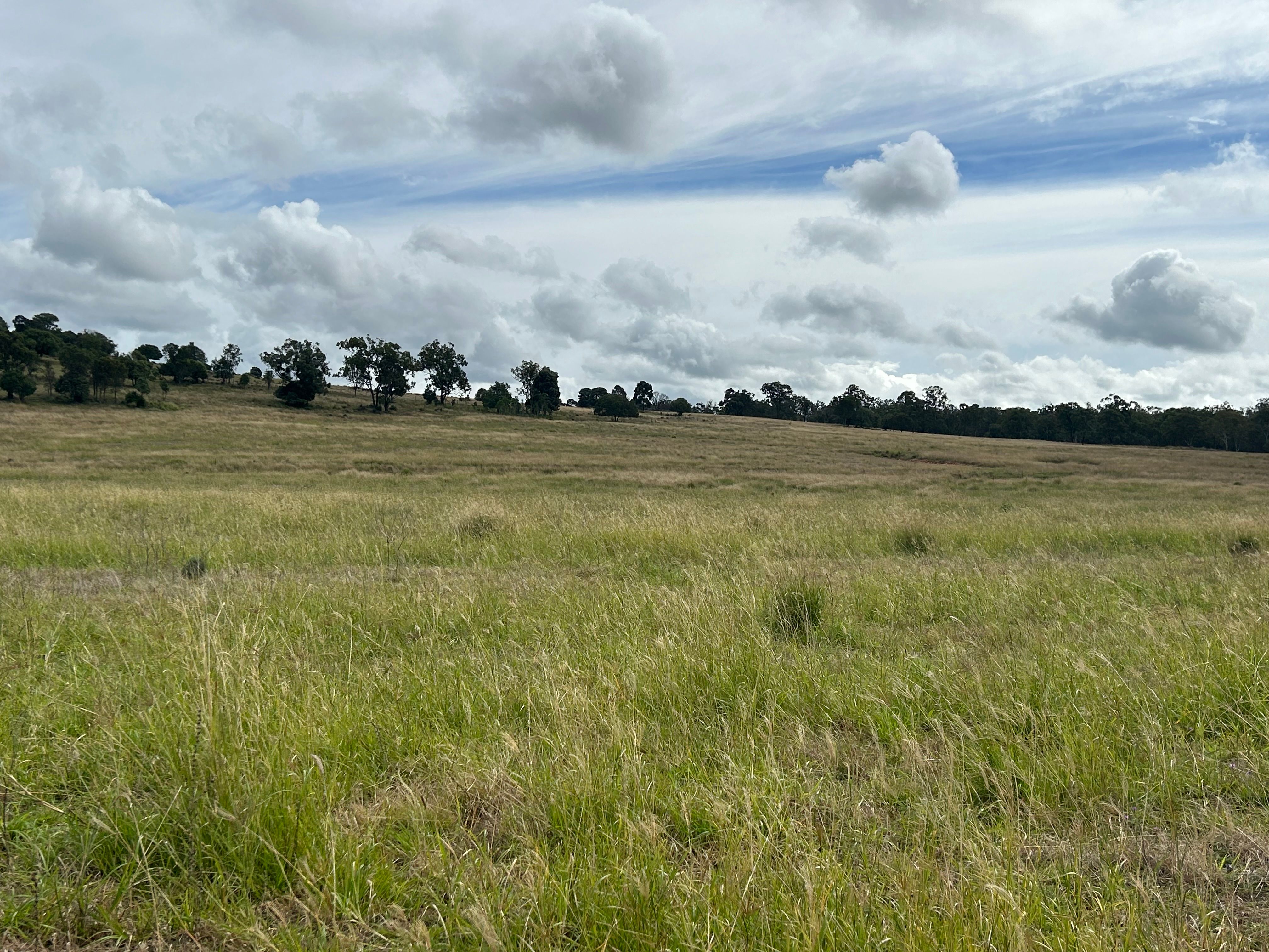 Lot 223 Oakey Cooyar Road, Kulpi, QLD 4352 - Sold Rural Property - Ray ...
