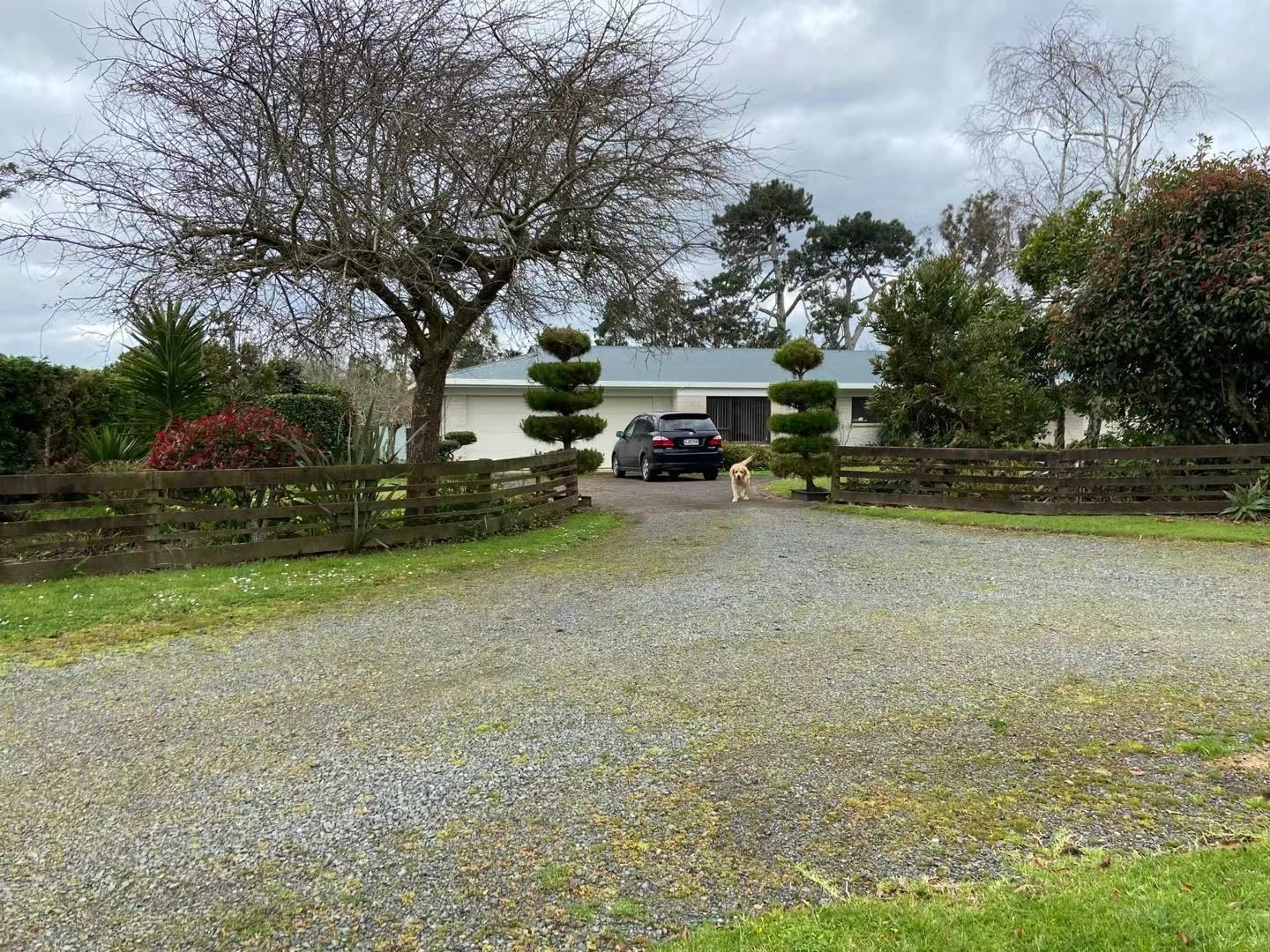 509A Linwood Road, Karaka, Franklin 2580 - Sold Lifestyle Property ...