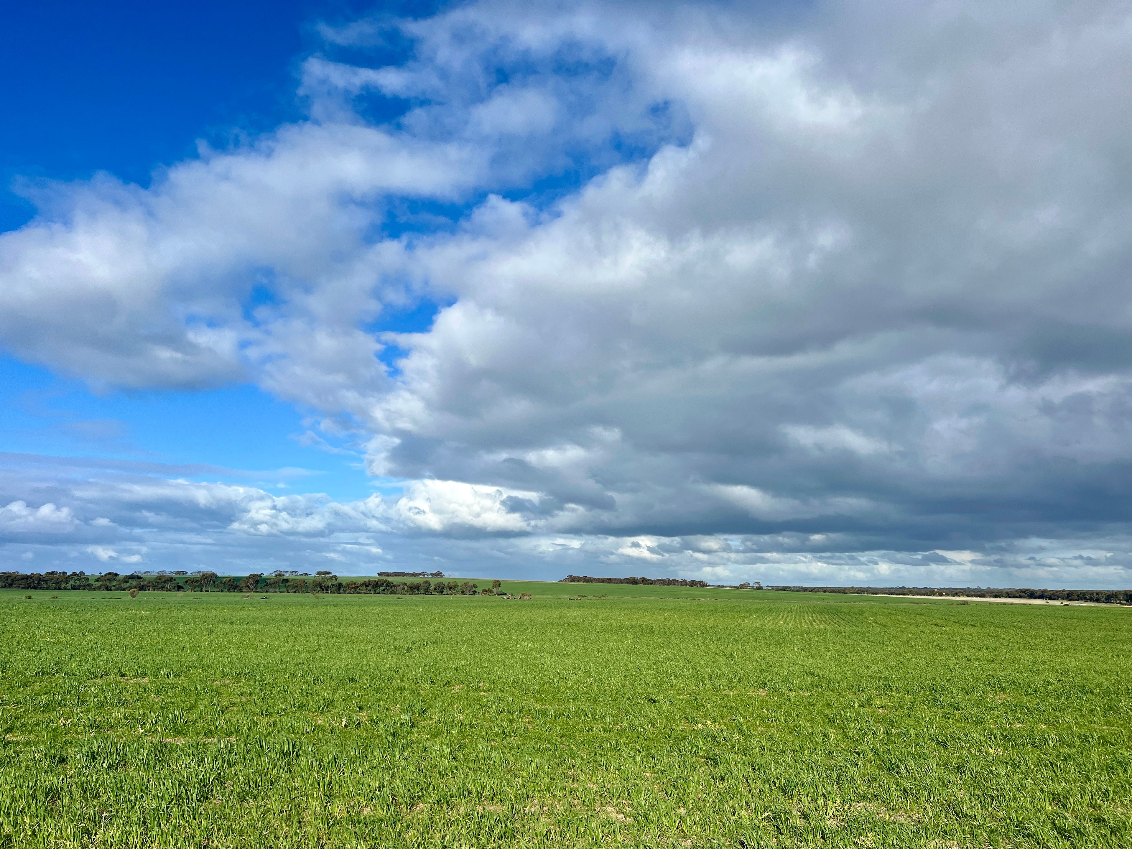 409 Dixon Road, Pingrup, WA 6343 - Rural Cropping Property for Sale ...