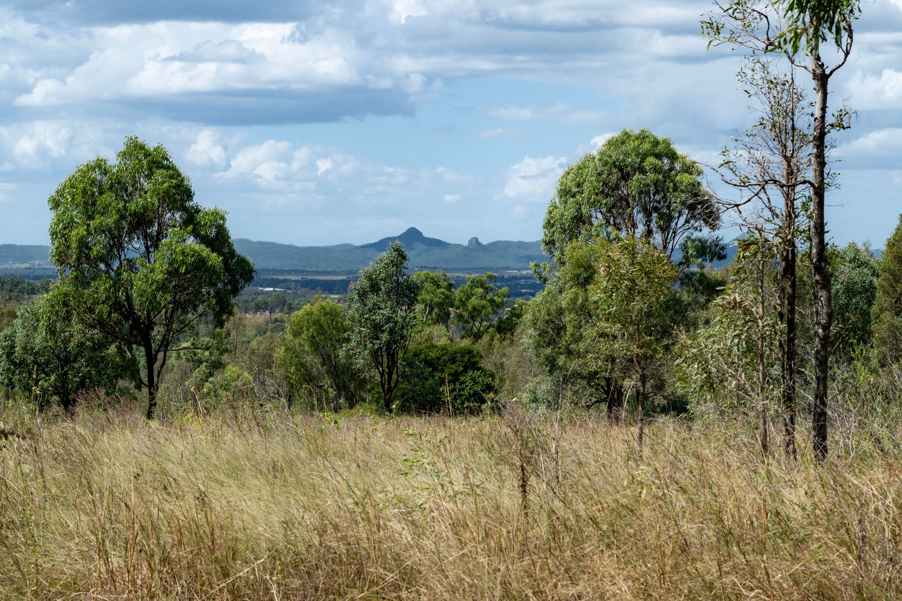 2584 Rosewood-Warrill View Road, Coleyville, QLD 4307 - Sold Rural ...