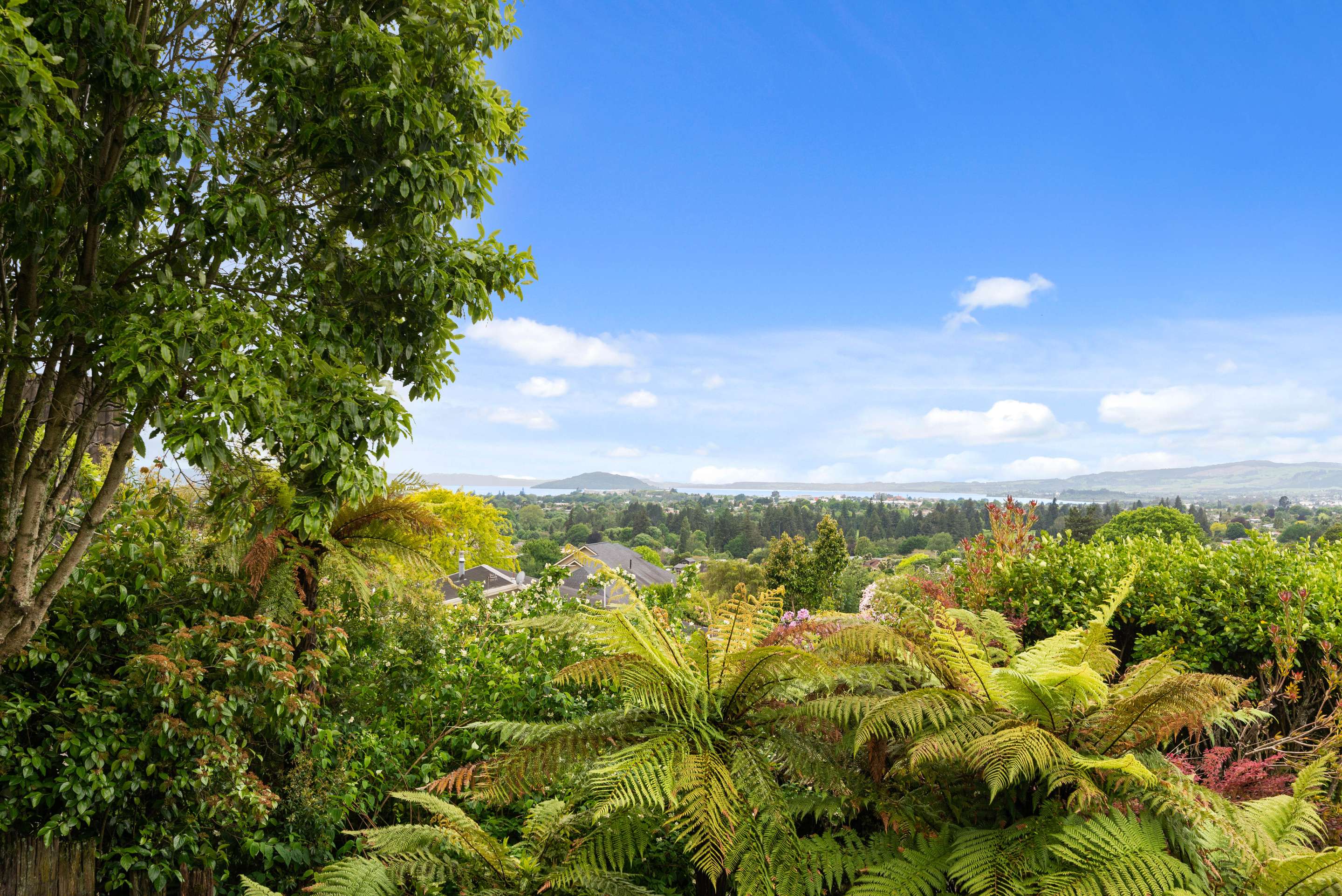 12 Haratua Place, Springfield, Rotorua District | Real Estate | Ray ...