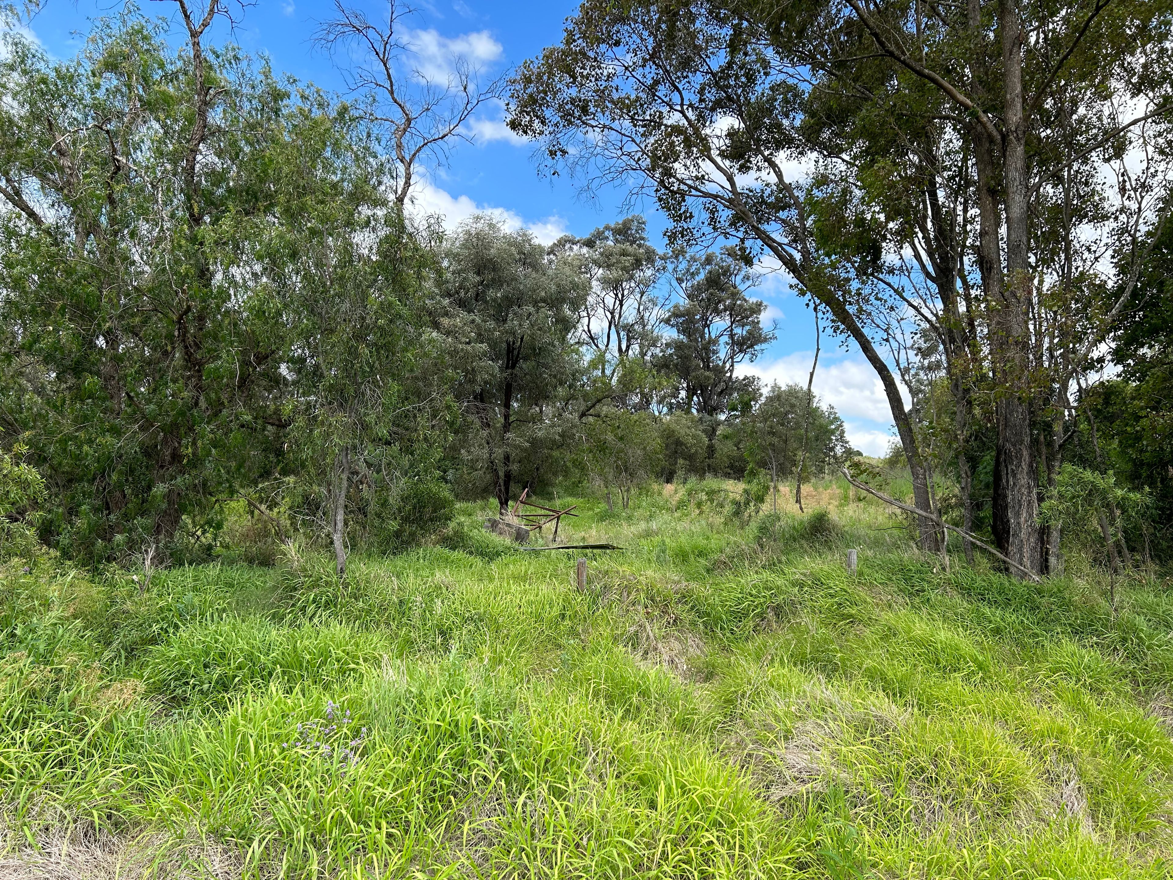 Lot 279 Brigalow Park School Road, MOUNT DARRY, QLD 4352 - Sold Land ...