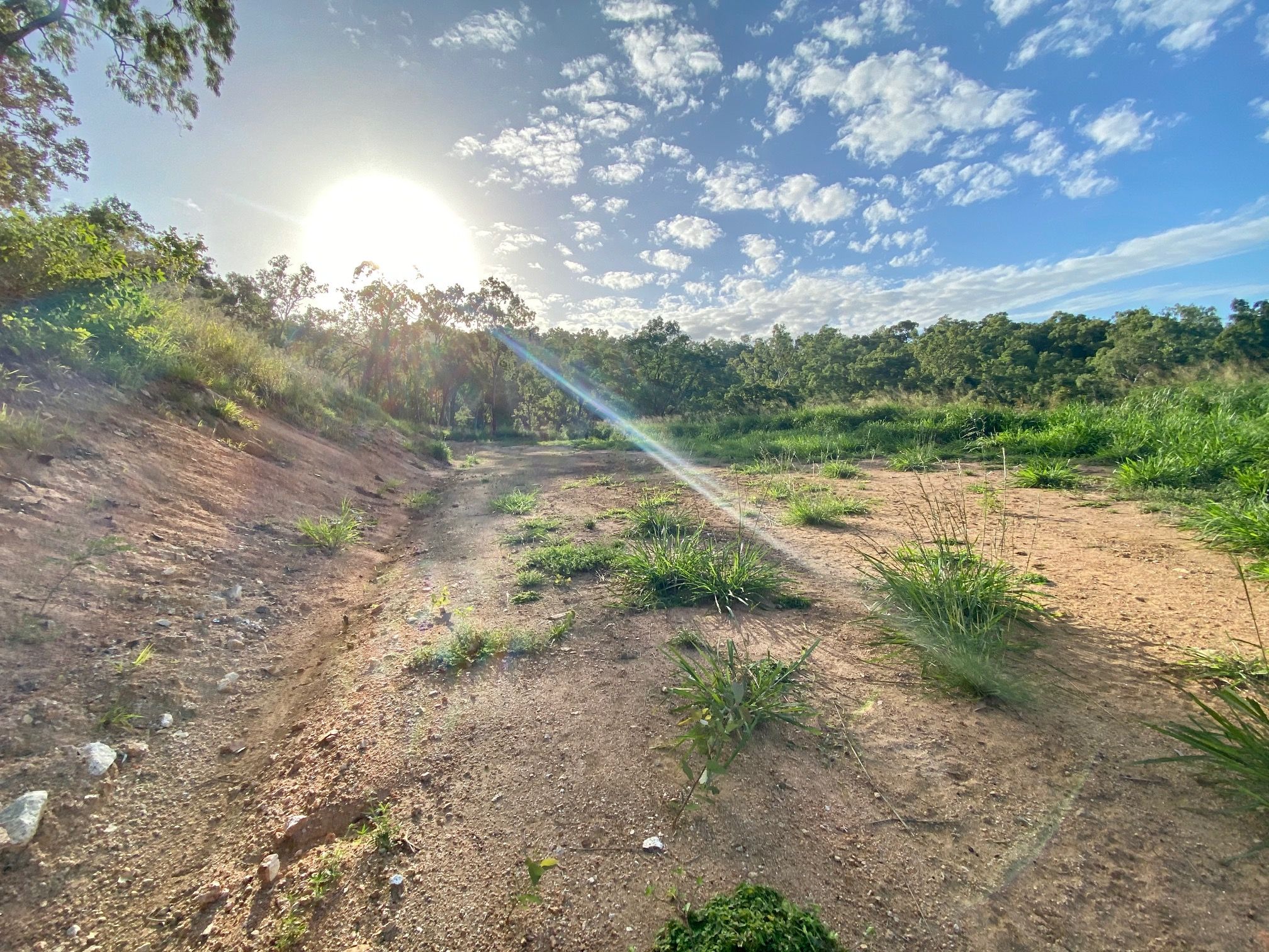 Lot 8 Bruce Highway, COOLBIE, QLD 4850 - Sold Rural Lifestyle Property ...