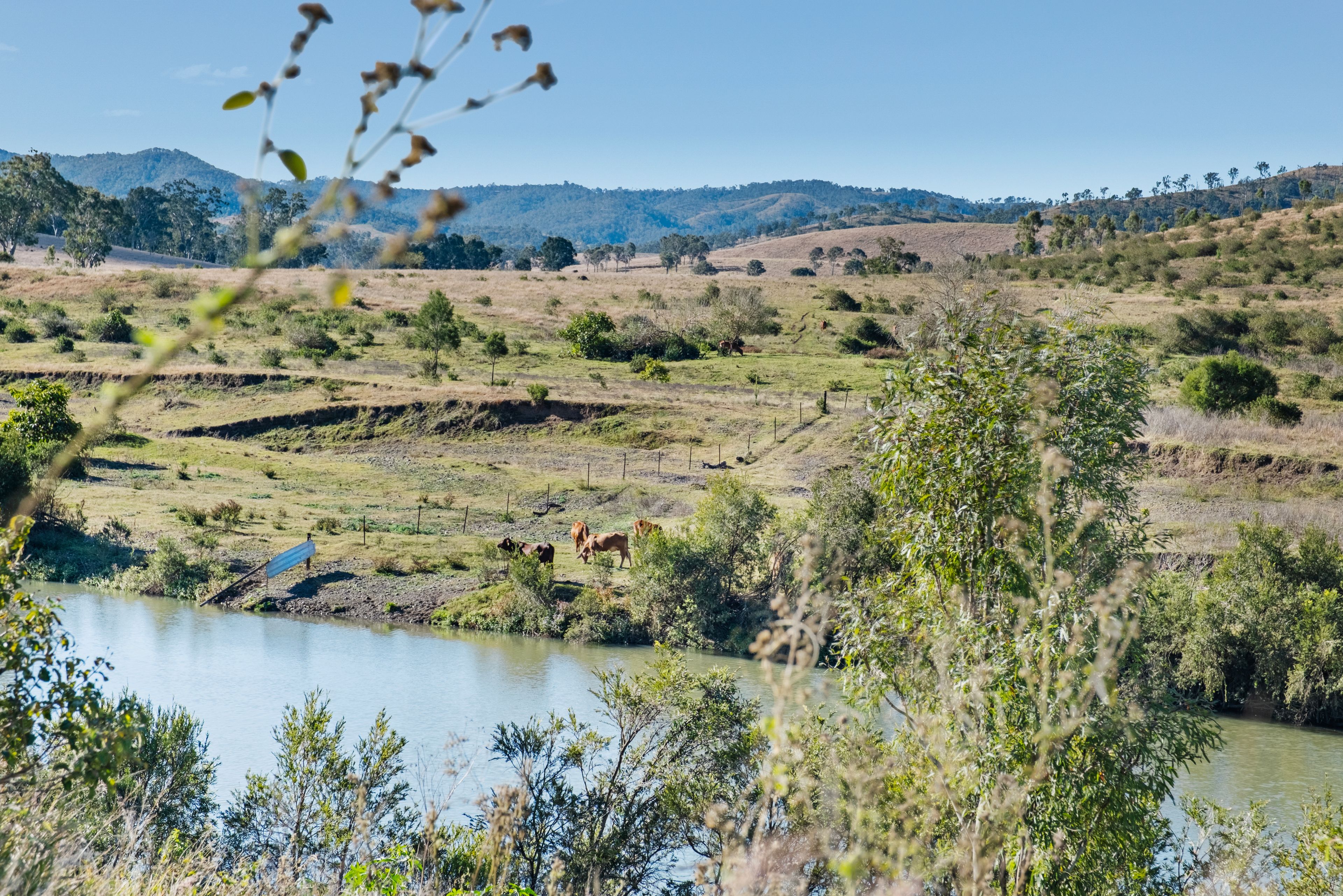 Lot 1 & 3 D'Aguilar Highway, Colinton, QLD 4314 - Sold Land - Ray White ...