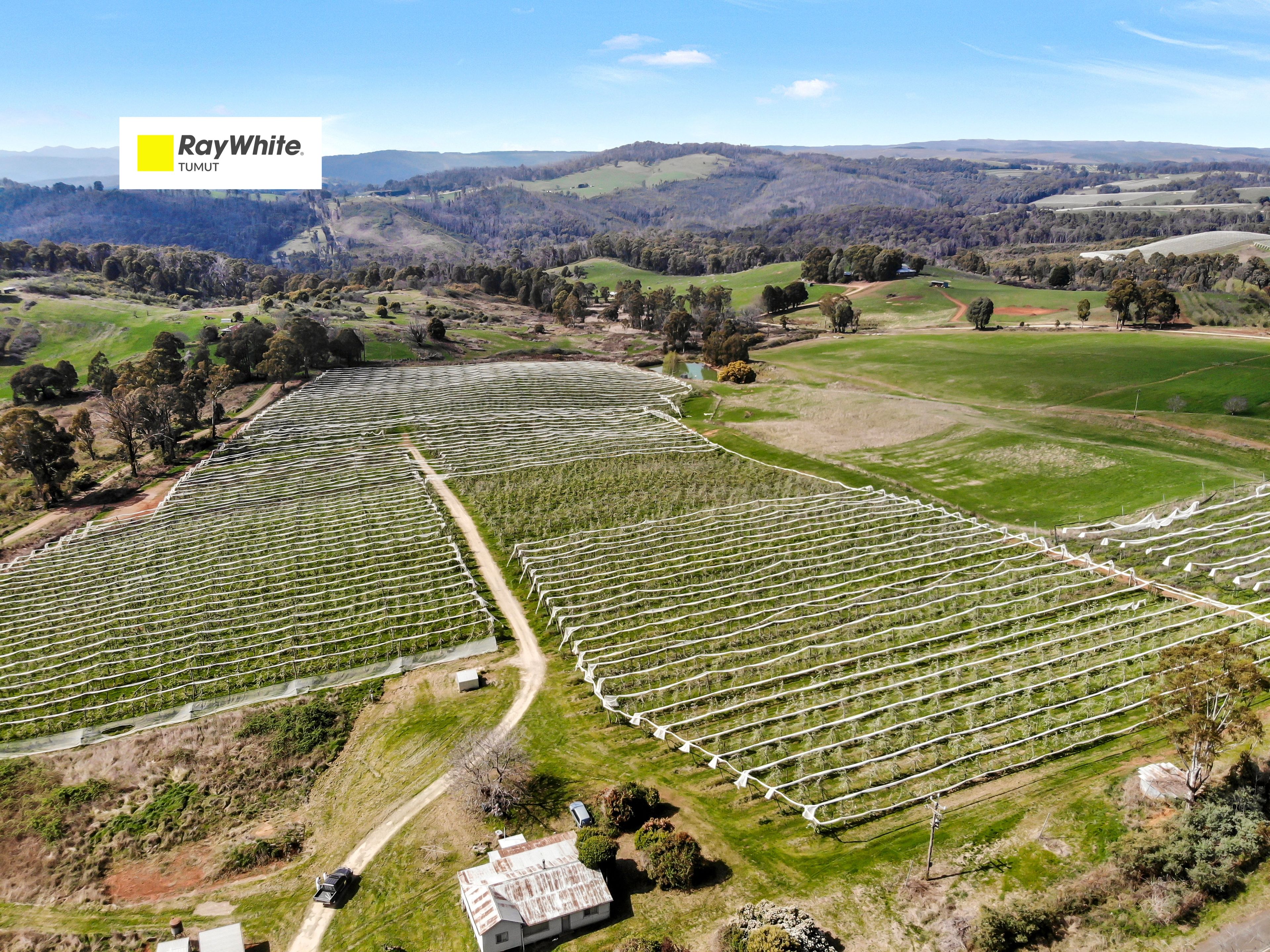 396 Old Tumbarumba Road, Batlow, NSW 2730 - Sold House - Ray White Tumut