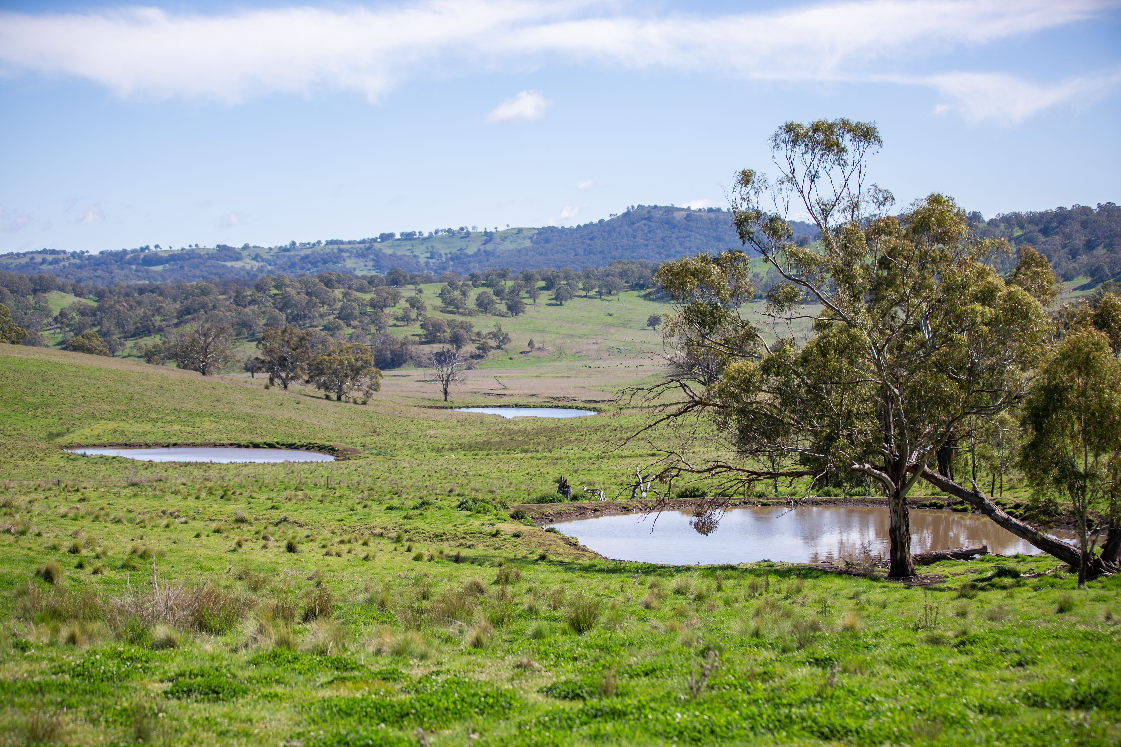 "Brucelyn" - 453 Moredun Road, Ben Lomond, NSW 2365 - Sold Rural Mixed ...