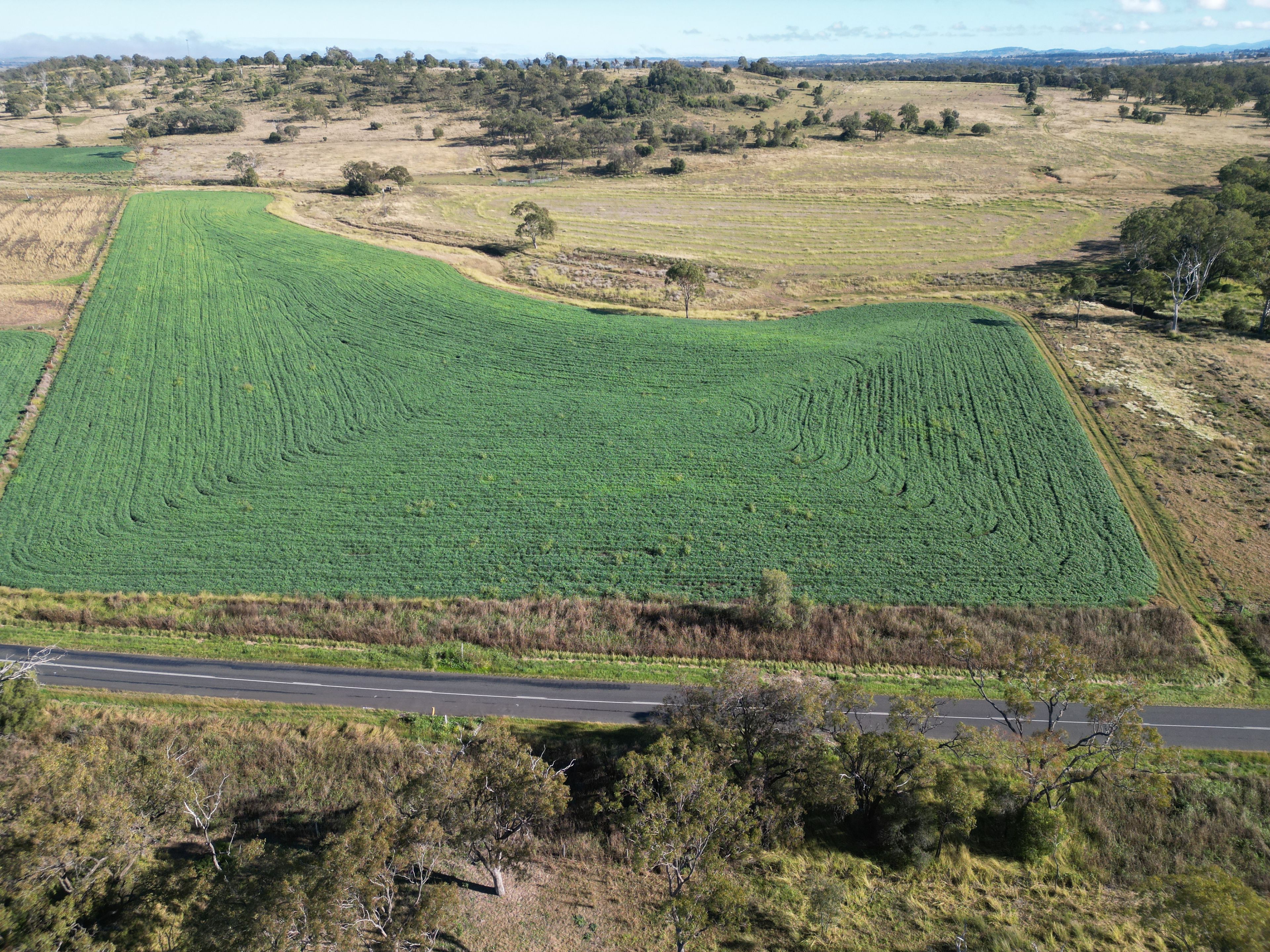 Lot 223 Oakey Cooyar Road, Kulpi, QLD 4352 - Sold Rural Property - Ray ...
