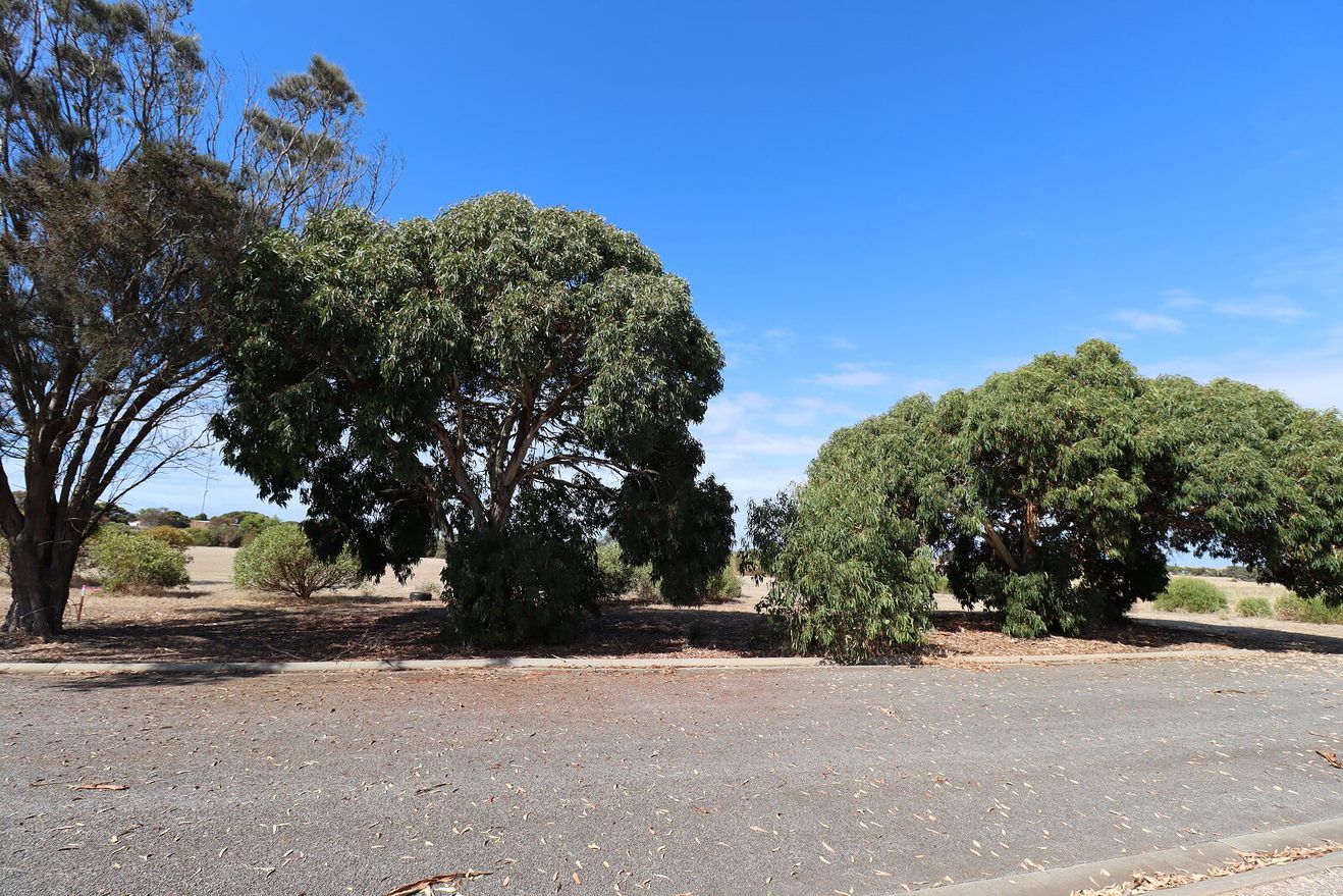 Lot 87 Perry Street, Edithburgh, SA 5583 - Sold Land - Ray White Yorke ...