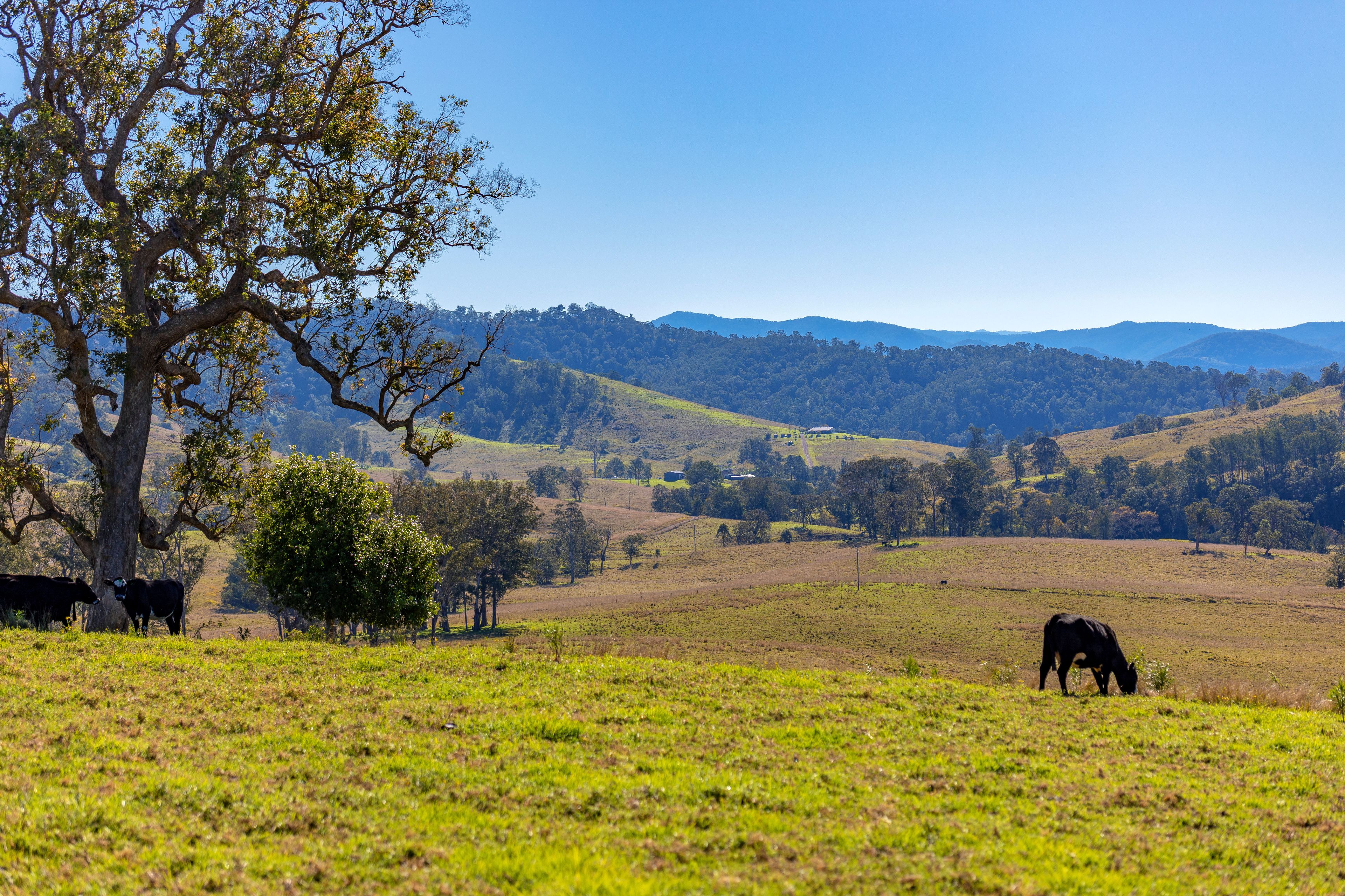 834 Bakers Creek Road, BAKERS CREEK, NSW 2422 - Sold Rural Property ...