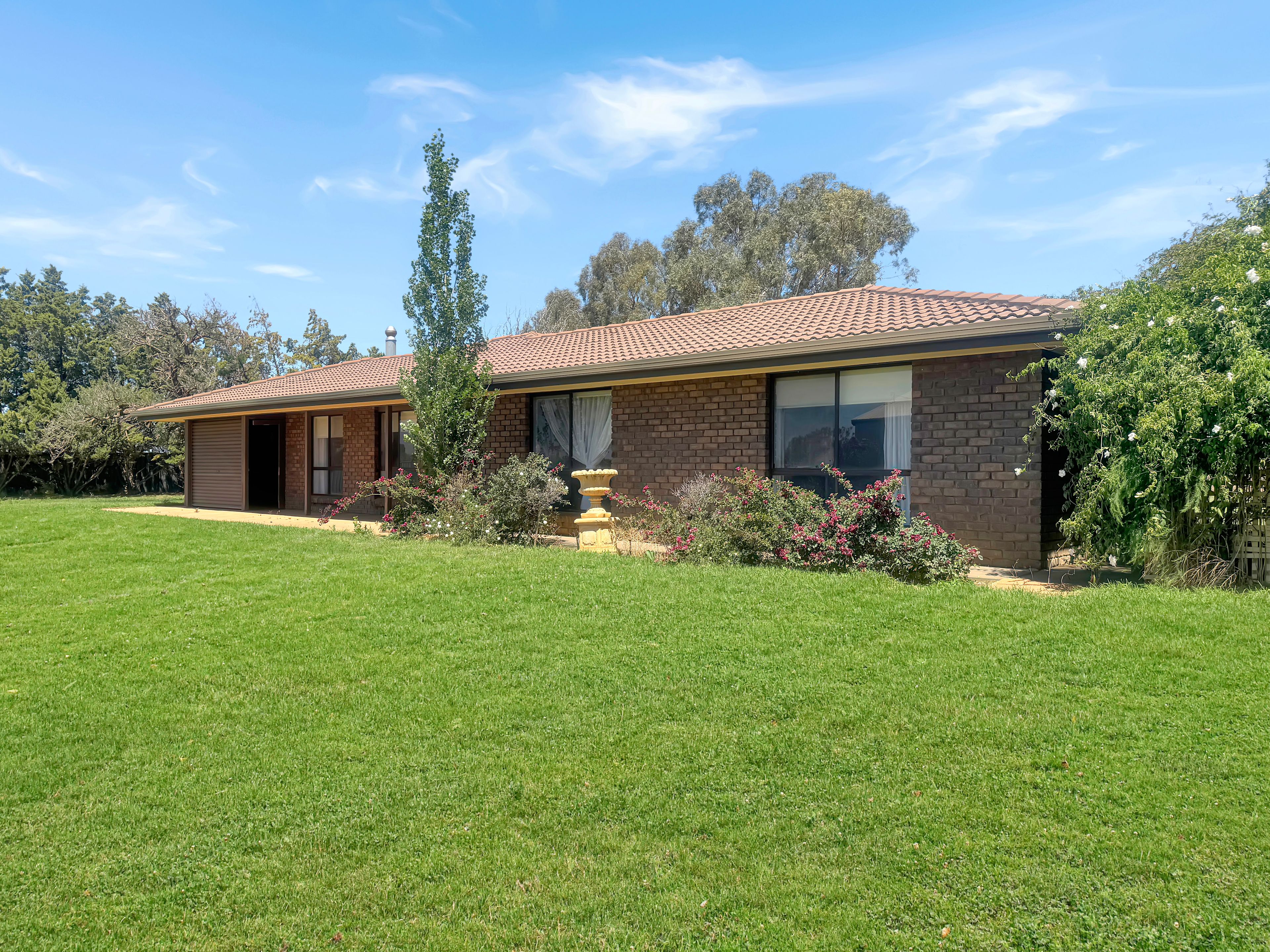 582 Government Road, Renmark West, SA – Home For Rent • Ray White