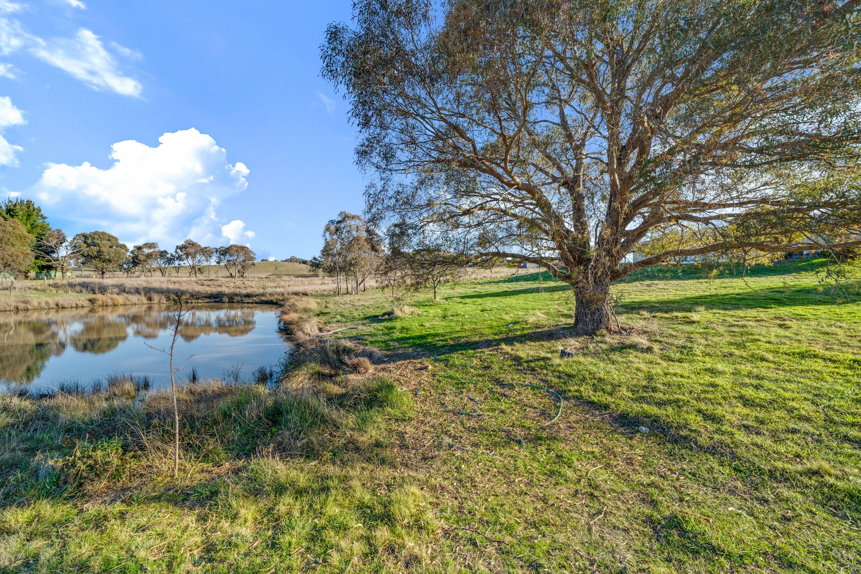 1076 Spring Range Road, Springrange, NSW 2618 - Sold House - Ray White ...