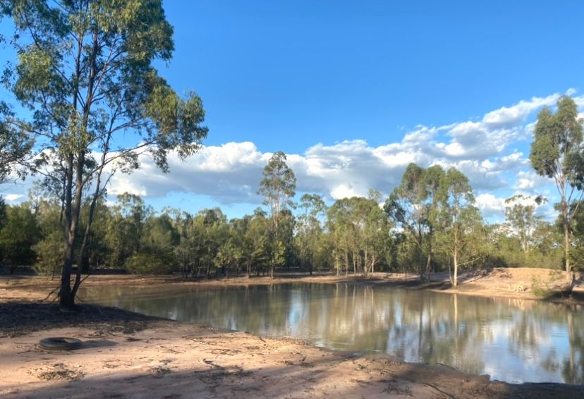 224 Joseph Road, Tara, QLD 4421 - Sold Land - Ray White Rural Tara