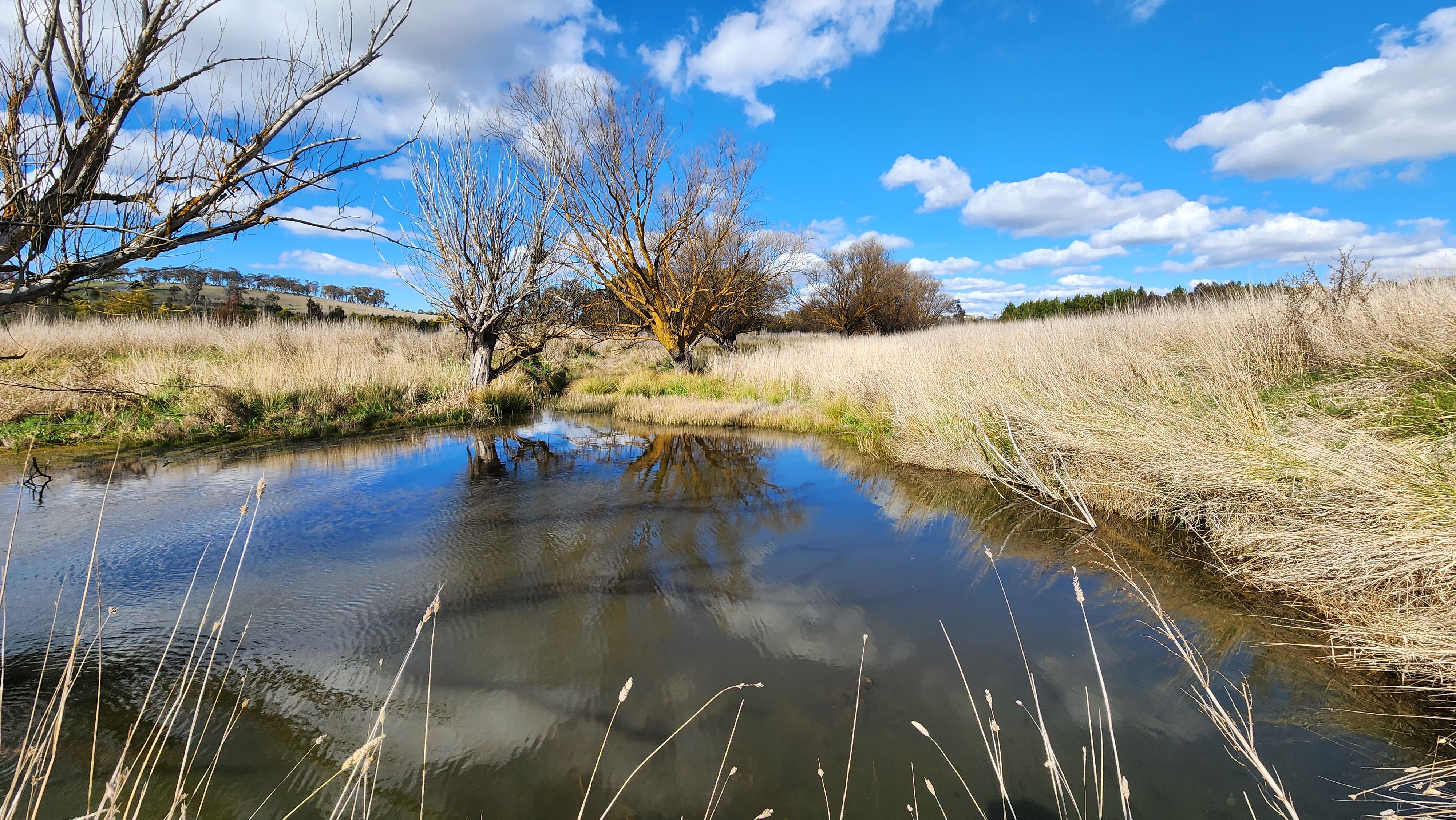 1076 Spring Range Road, Springrange, NSW 2618 - Sold House - Ray White ...
