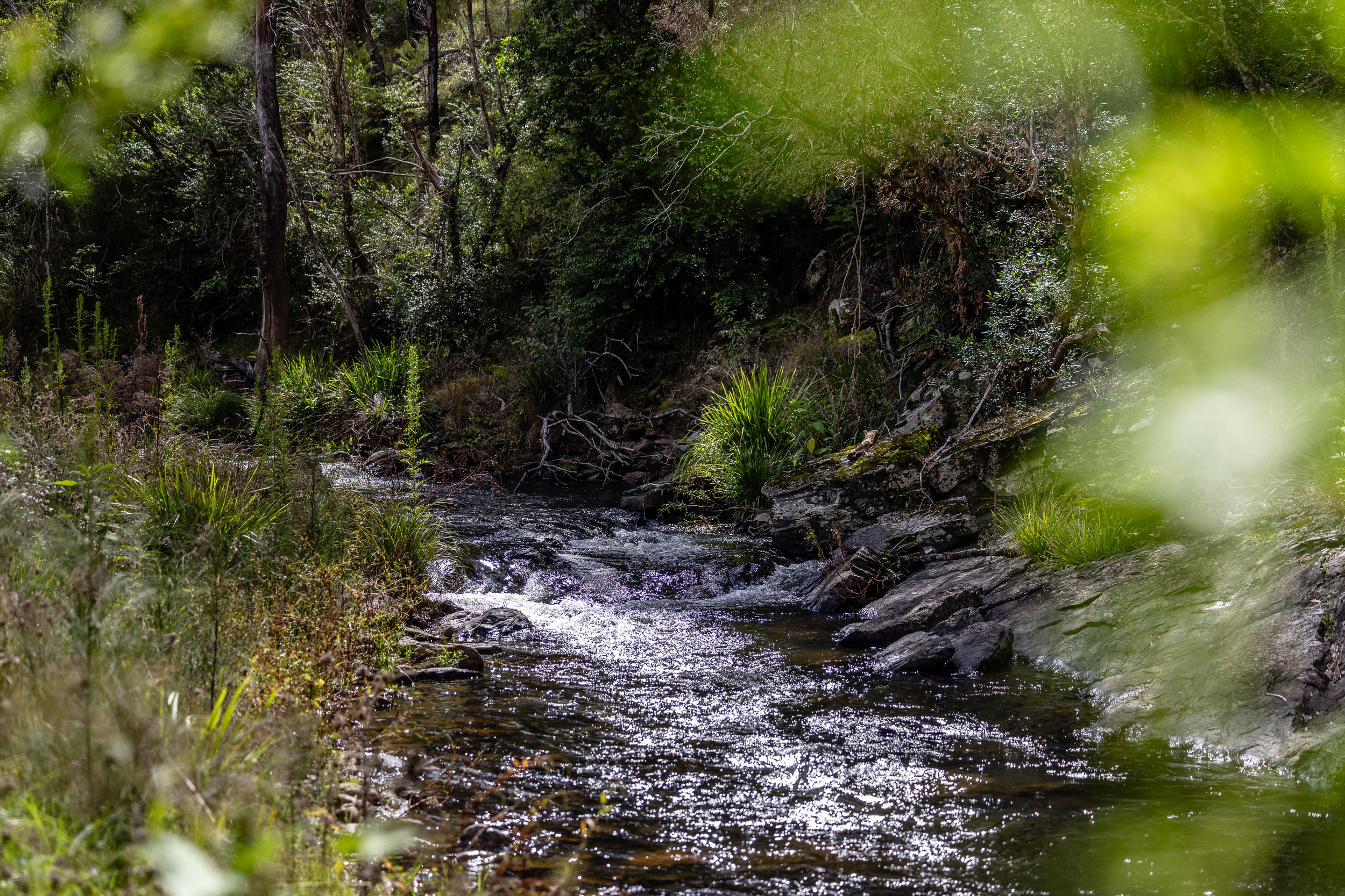 Ray White Manning Valley