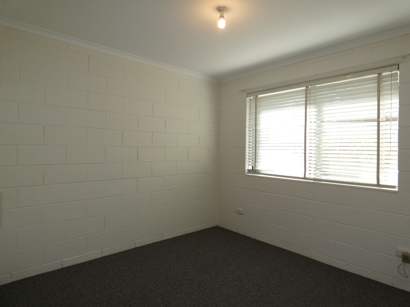 3/322 Olive Street, South Albury, NSW 2640 - House for Rent - Ray White ...