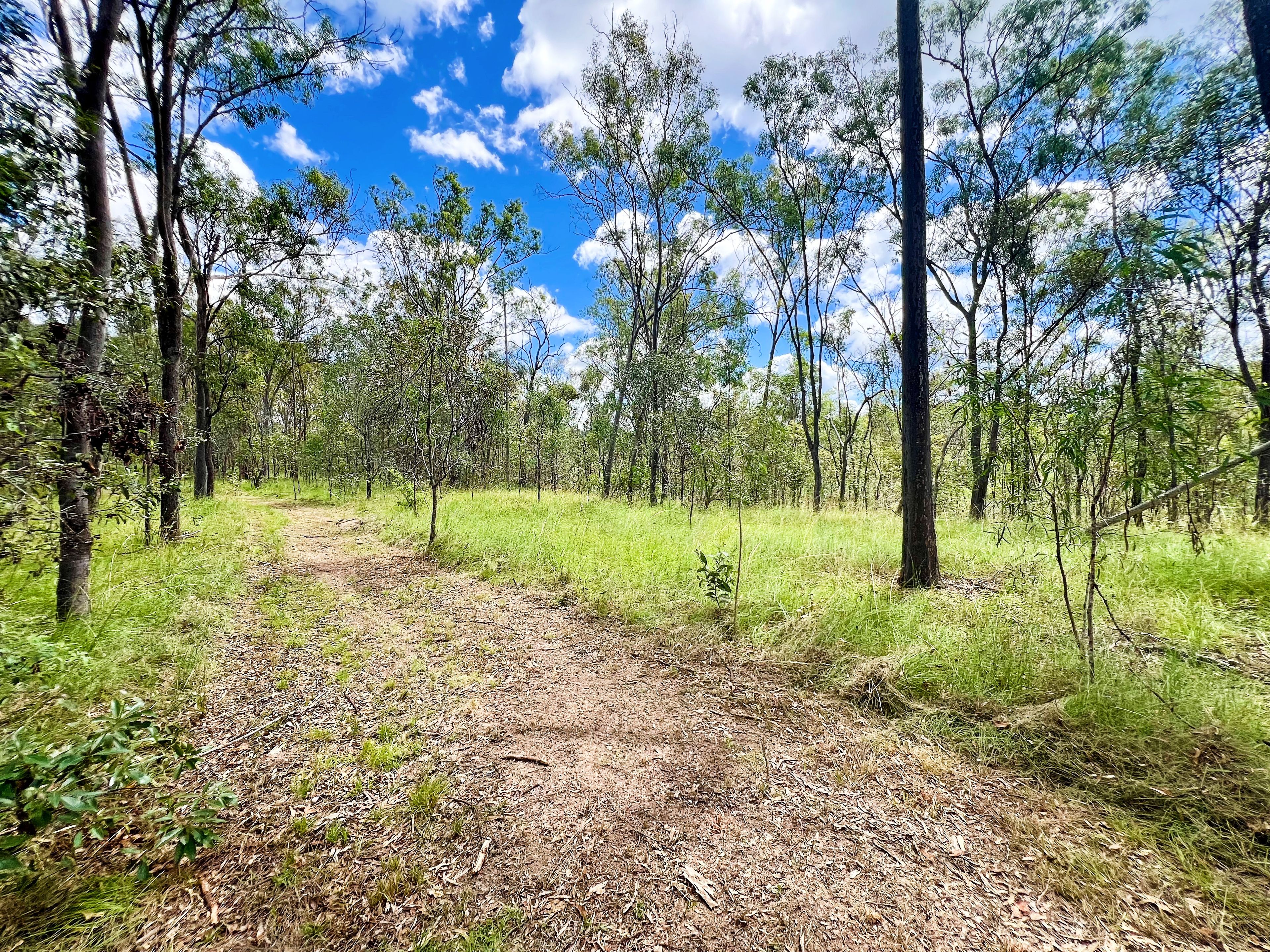 25 Robs Drive, Horse Camp, QLD 4671 - Sold Land - Ray White Bundaberg