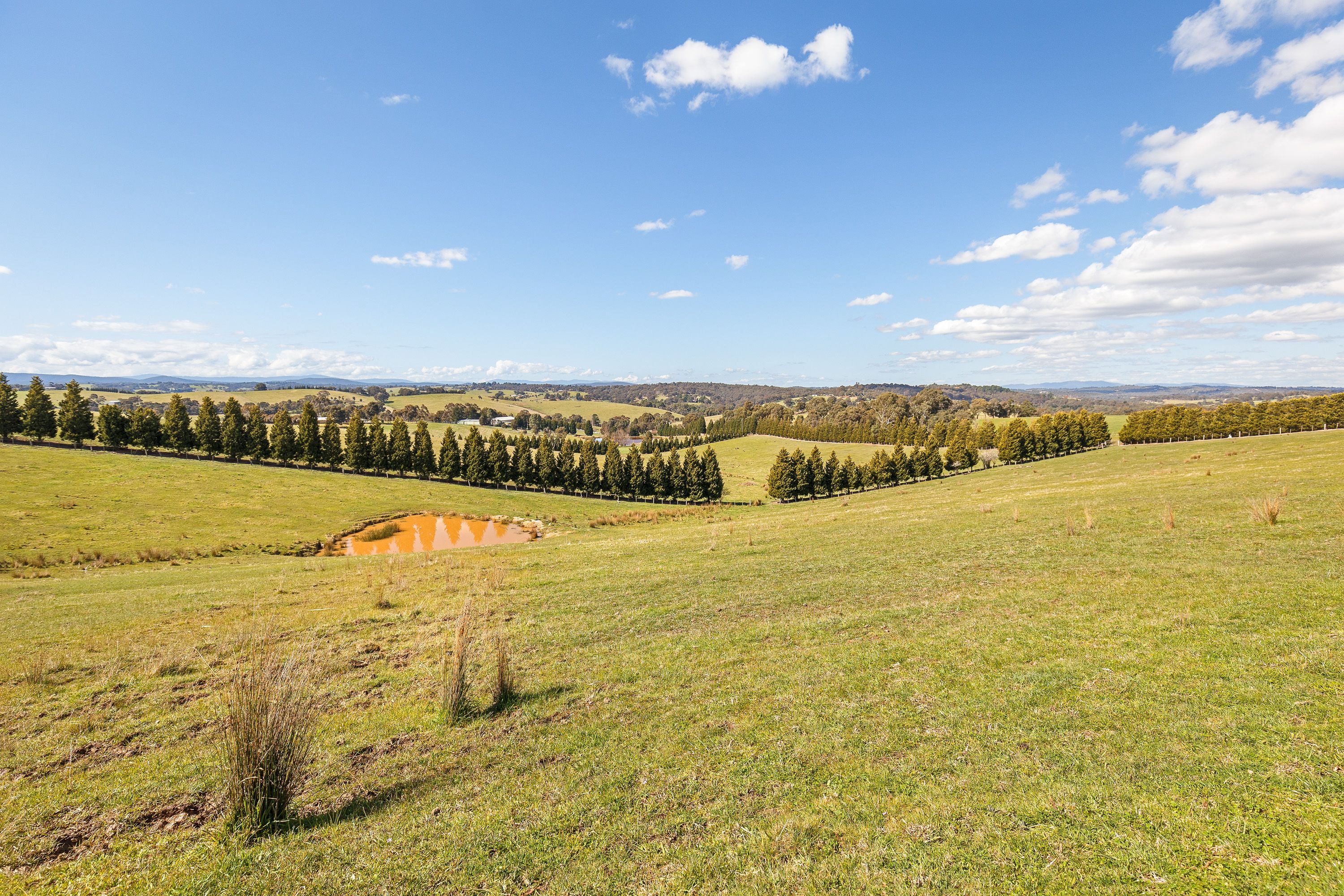 Doreen, VIC 3754 - House for Sale - Ray White Doreen