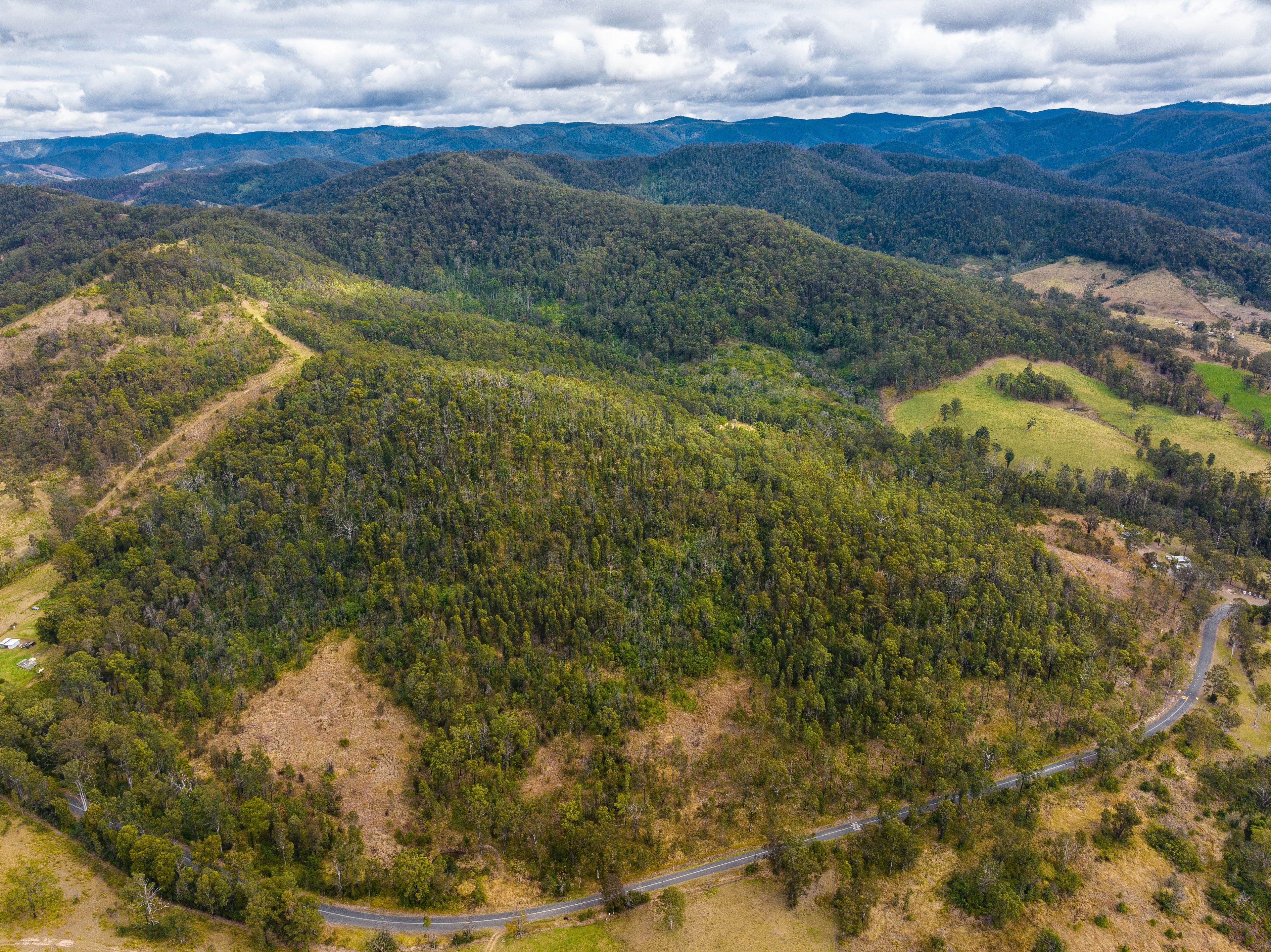 2423 Bulga Road, Bobin, NSW 2429 - Rural Mixed Farming Property for ...